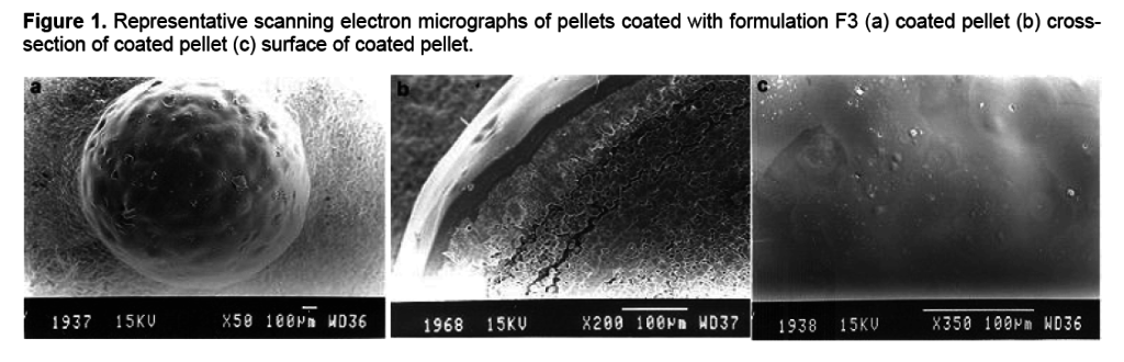 Study of Novel Rosin-Based Biomaterials for Pharmaceutical Coating ...