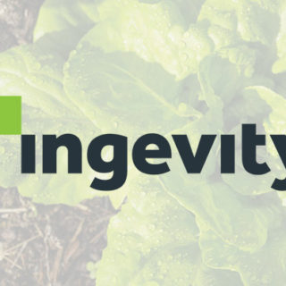 Ingevity: Pine-based adjuvants – “Green” and effective - Foreverest ...